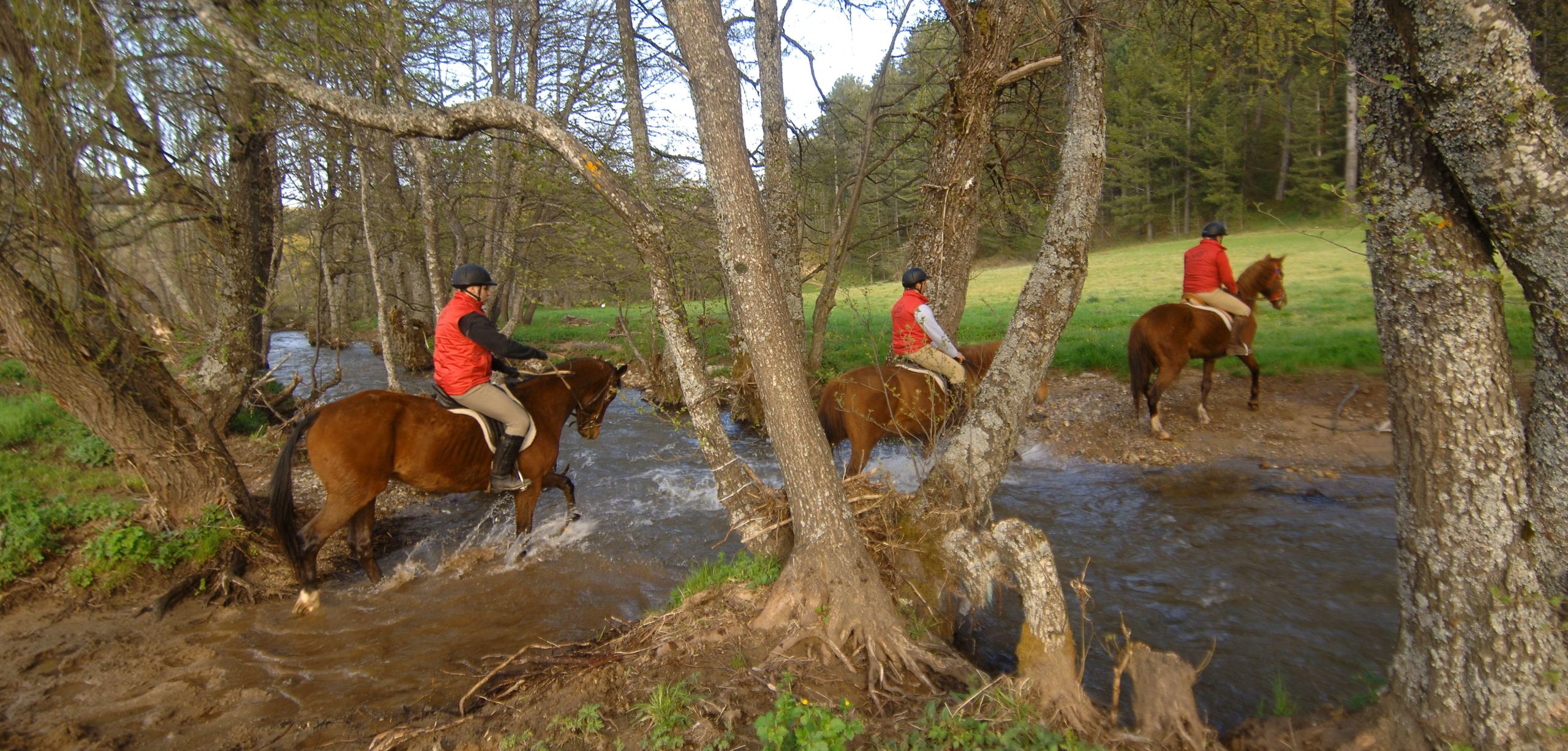 Escursioni a Cavallo - Parco Nazionale della Sila